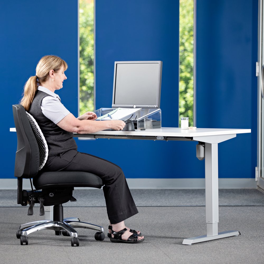 Bassett Back Support Range - Lumbar Back Support - Back Centre