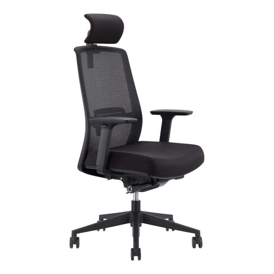 Mesh Back Office Chairs Archives - Back Centre