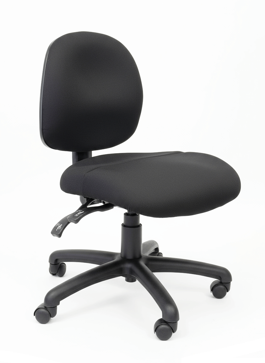Dual Density Task Chair - Back Centre