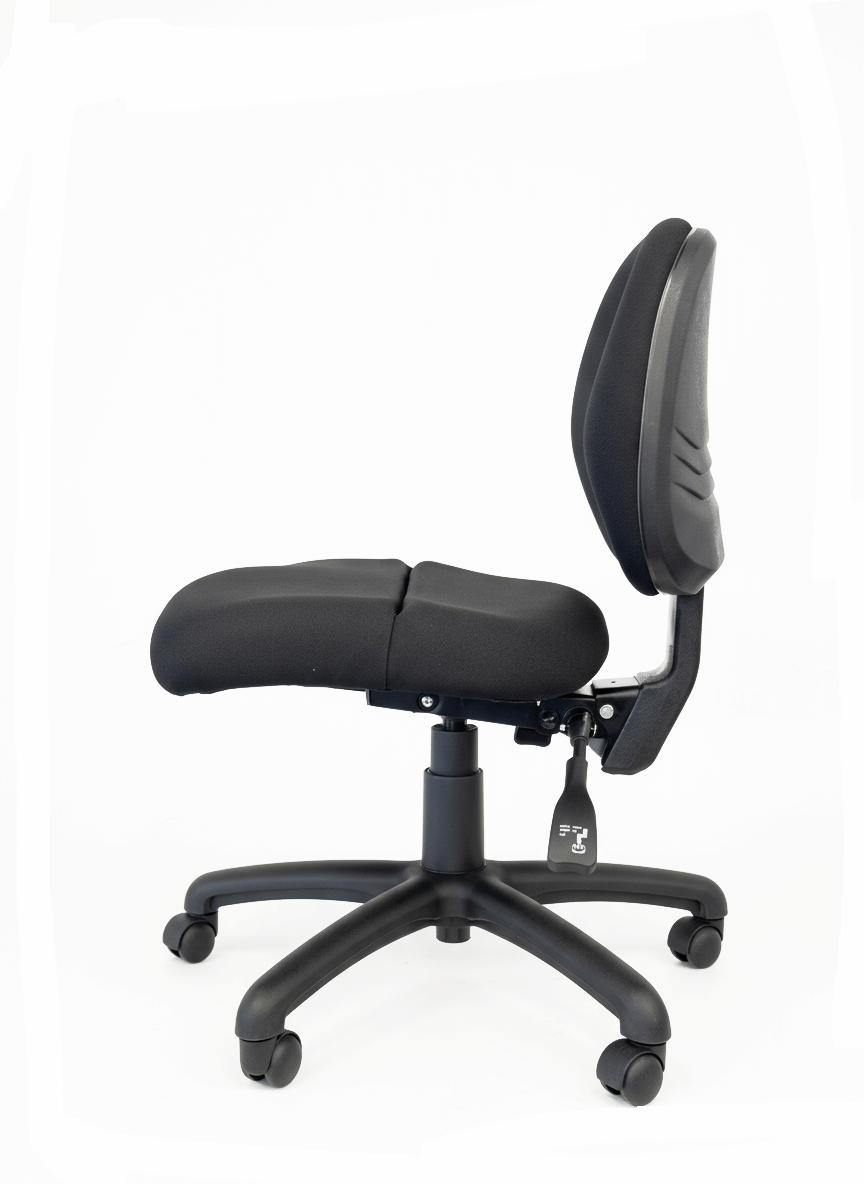 Dual Density Task Chair - Back Centre