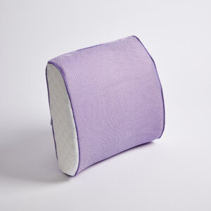 The Best Back Support & Lumbar Support for your Office - Back Centre